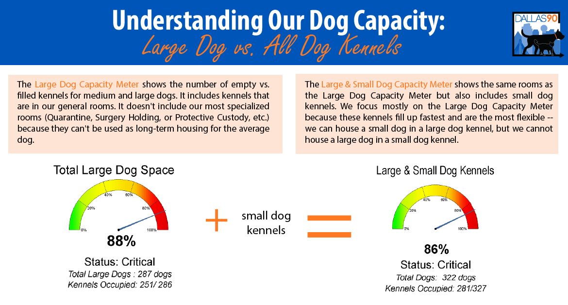 Daily Shelter Flow - Be Dallas 90